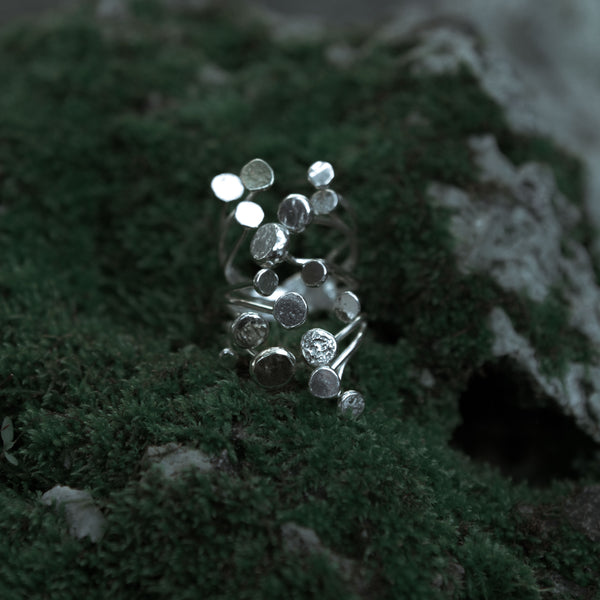 Anello _ Armillaria – SUB_°